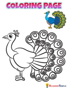 Coloring Worksheet - Peacock - Academy Simple