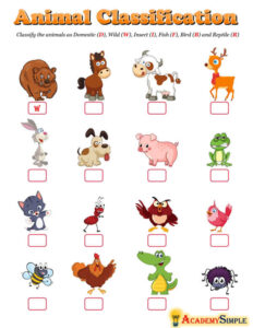 Animal Classification #1 - Academy Simple