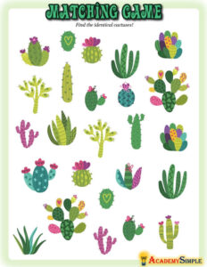 Matching Game - Cactuses - Academy Simple