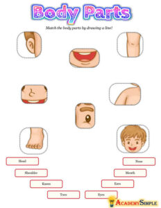 The Human Body Parts Worksheet - Head Shoulder Knees and Toes - Academy ...