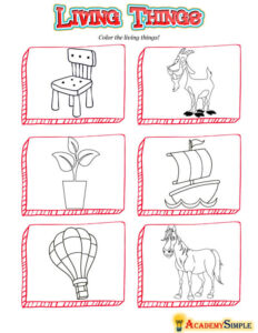 Science, Living Things and Non-Living Things Worksheet #2 - Academy Simple