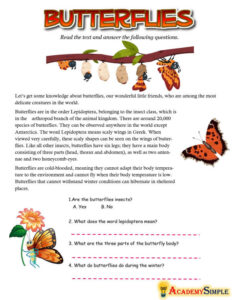 Reading Skills, Reading Comprehension Text - Butterflies - Academy Simple