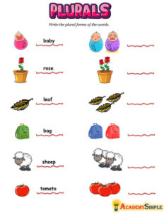 English Grammar, Singulars/ Plurals Worksheet #2 - Academy Simple