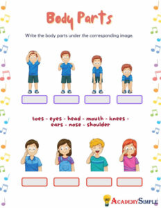 The Human Body Parts Worksheet - Head Shoulder Knees and Toes #4 ...