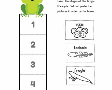 life cycle of frogs Archives - Academy Simple