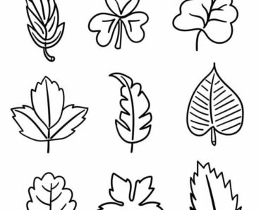 Academy Simple - Free Educational Resources