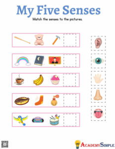 Five Senses, Senses Organs Worksheet - Find the Correct Sense Organ for ...