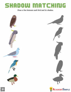 Visual Discrimination Skills, Shadow Matching Worksheet - Birds #2 ...