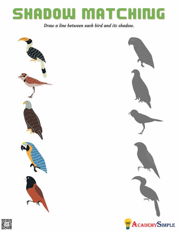 Visual Discrimination Skills, Shadow Matching Worksheet - Birds ...
