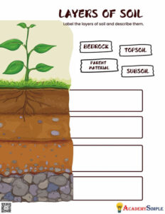 Layers of Soil - Academy Simple